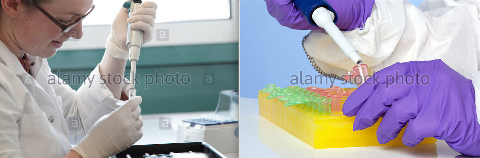 Lab Stock Photo Fails | Microbiome Digest - Bik's Picks